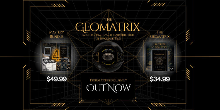 Master the Art of Vibration – BassForge