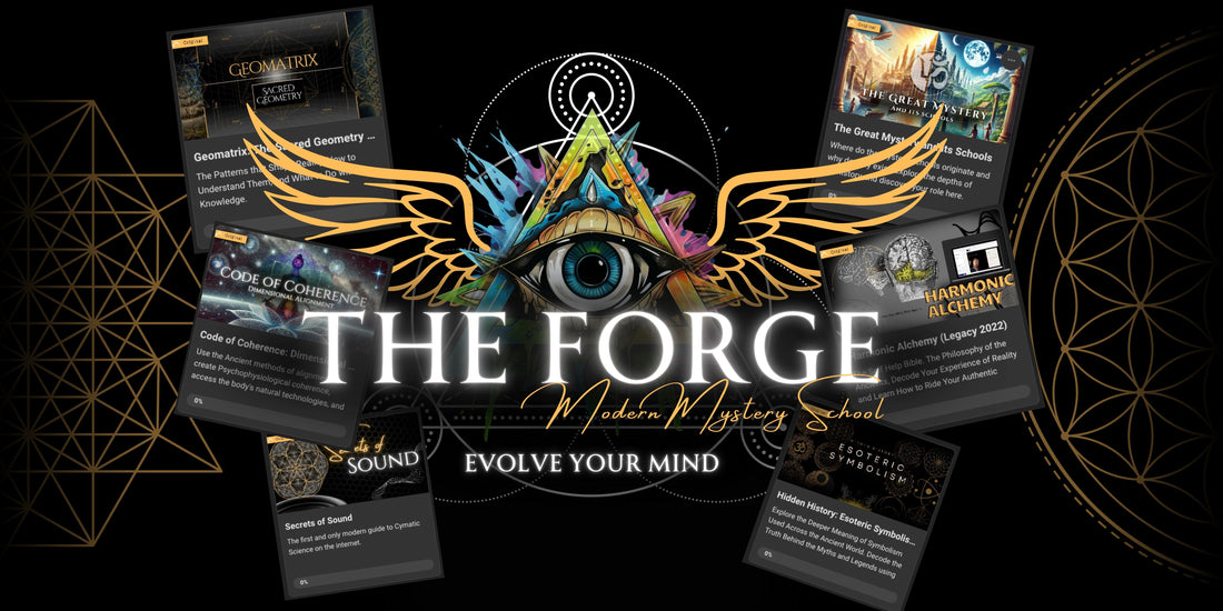 Master the Art of Vibration – BassForge